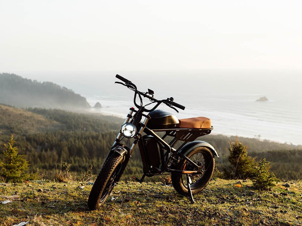 FREEGO Electric e-Moto Style eBike Shotgun Flash F3 Pro Max Dual Motor