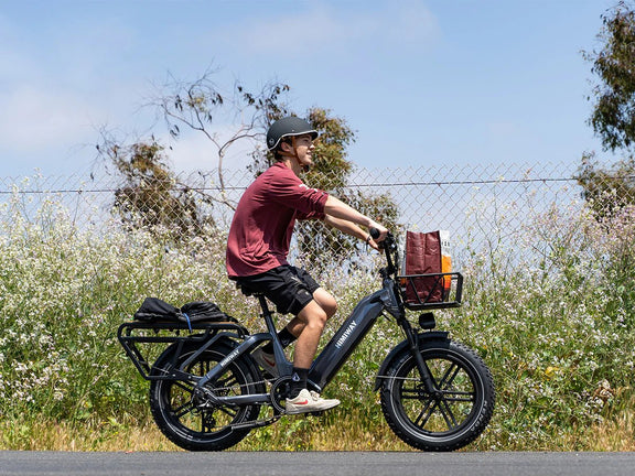 HIMIWAY Big Dog 750 w Step Thru Ebike 20x4 Fat Electric Cargo eBike